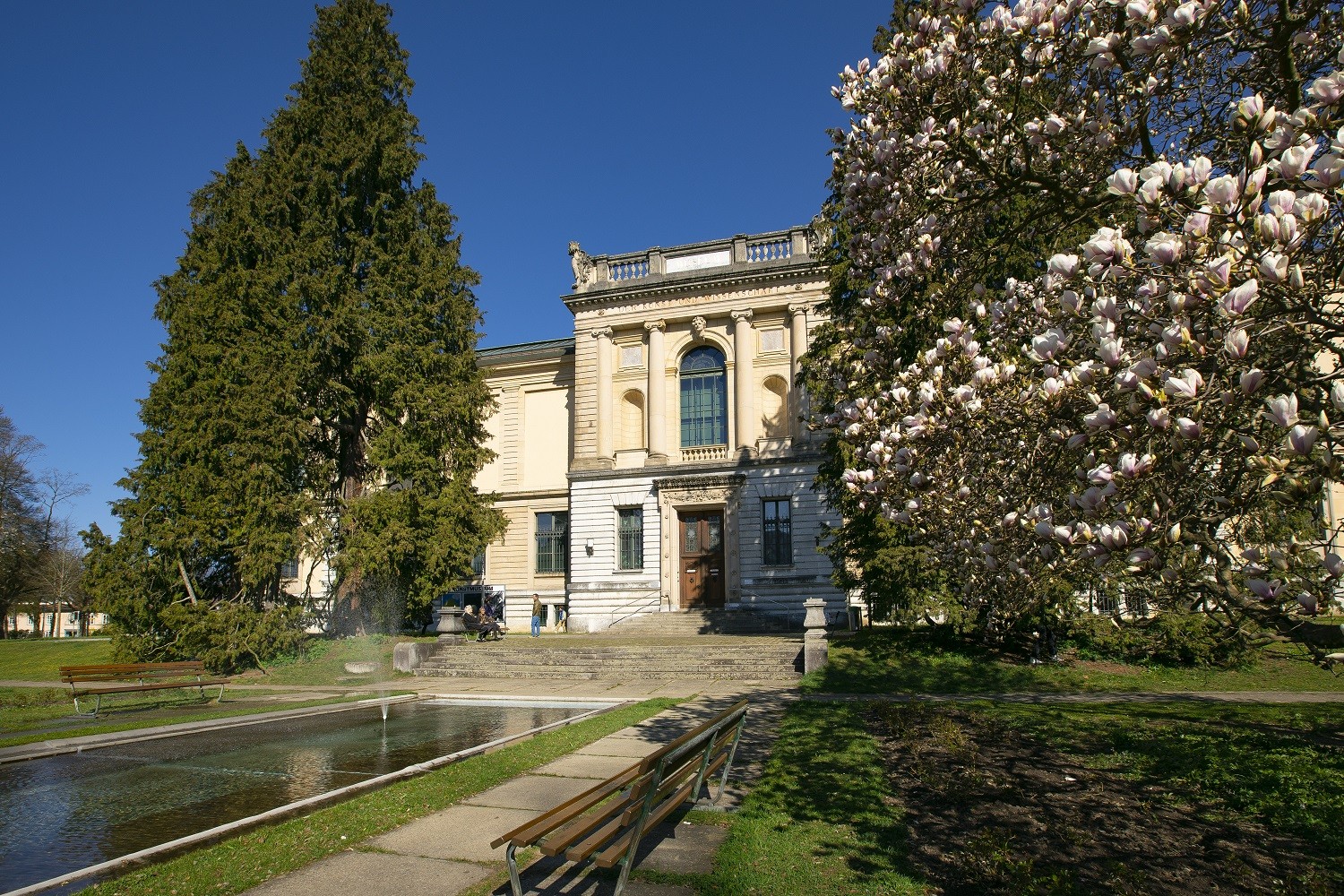 Solothurn blüht auf
